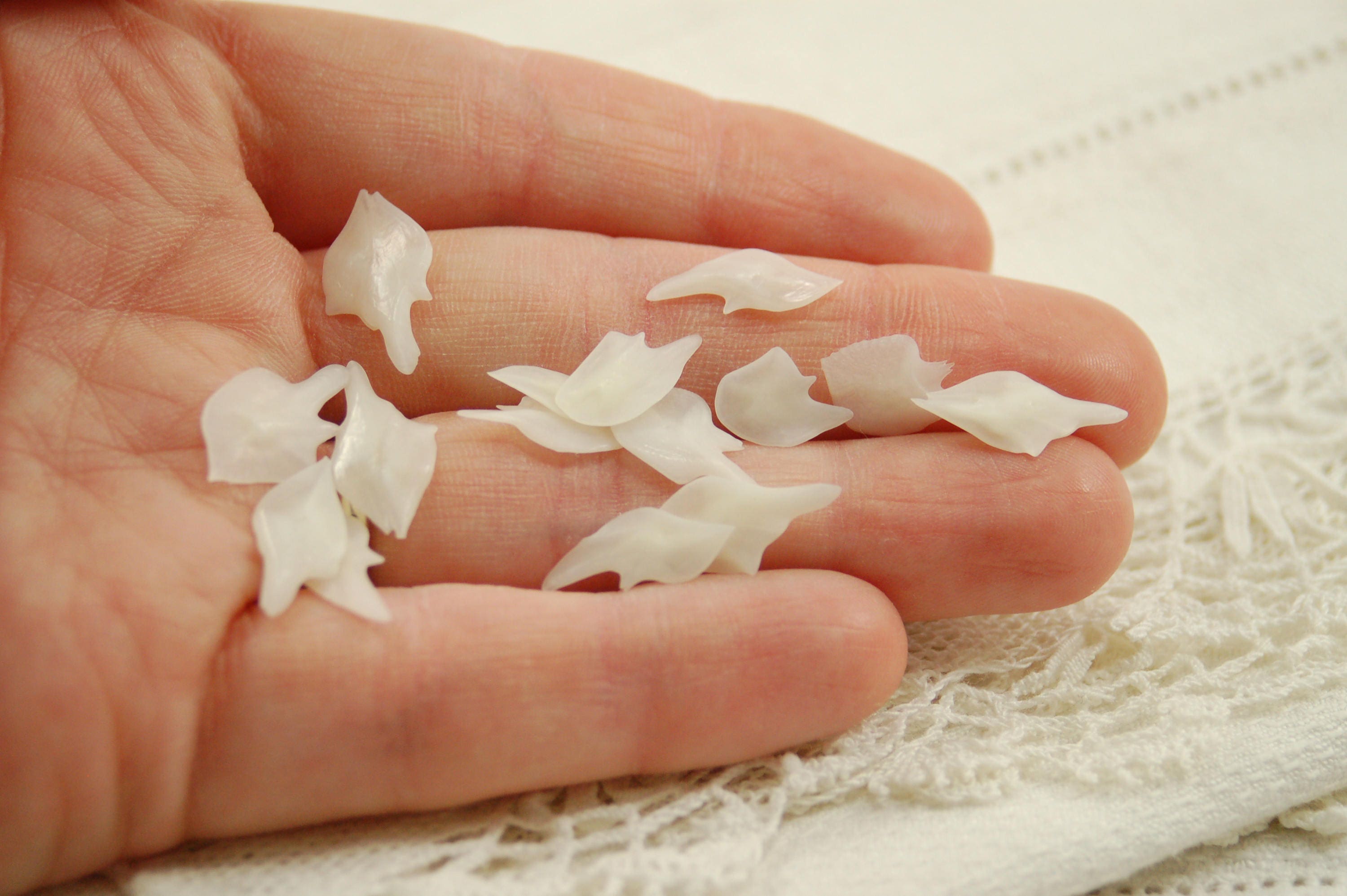 15 Peculiar Gar Fish Scales Tiny Bones (stock Photos) - Etsy