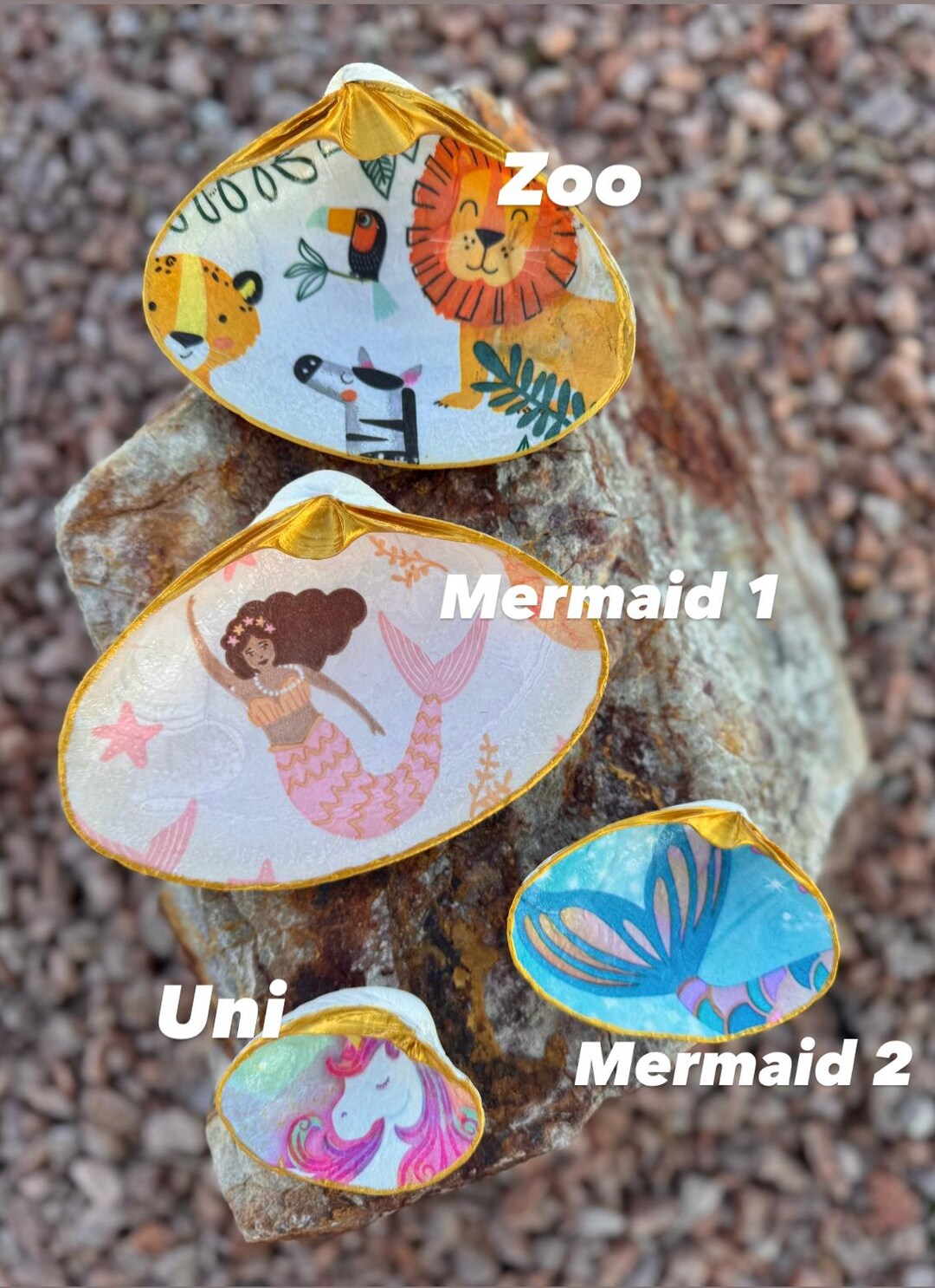 KIDS THEME - Elegant Clam Shells - Etsy