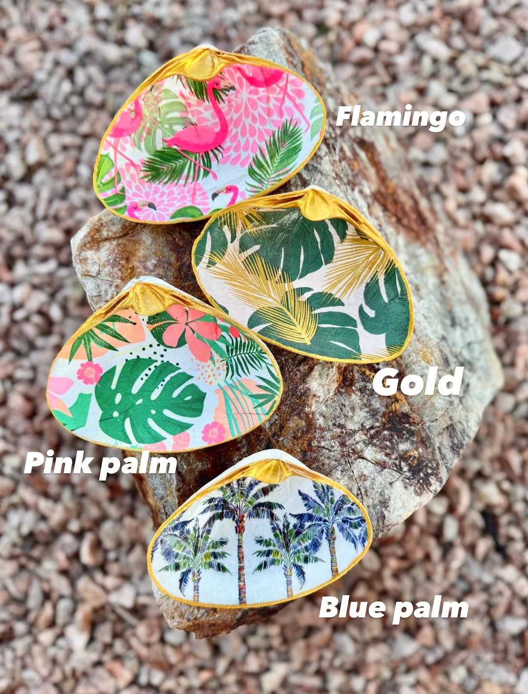 TROPICAL THEME - Elegant Clam Shells - Etsy