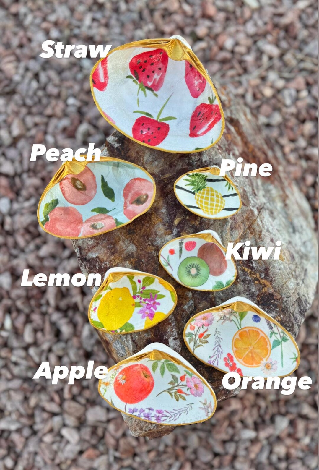 FRUIT THEME - Elegant Clam Shells - Etsy