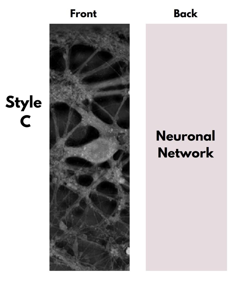 Neuronal Network Bookmark: Brain Histology Art, Neuroscience Gift - Etsy