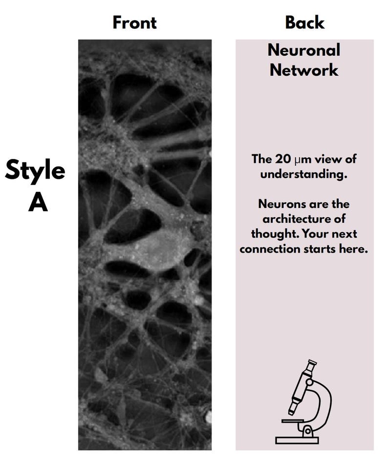 Neuronal Network Bookmark: Brain Histology Art, Neuroscience Gift - Etsy