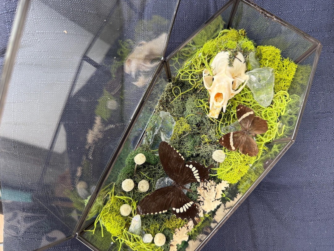 Glass Coffin Terrarium: Real Butterflies, Bones, Flowers & Crystals - Etsy