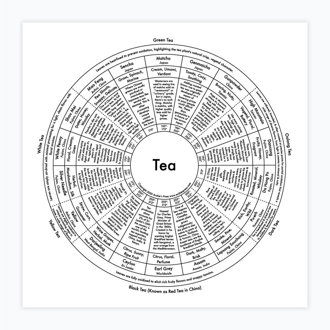 Tea Types Letterpress Chart 8"x8" - Etsy