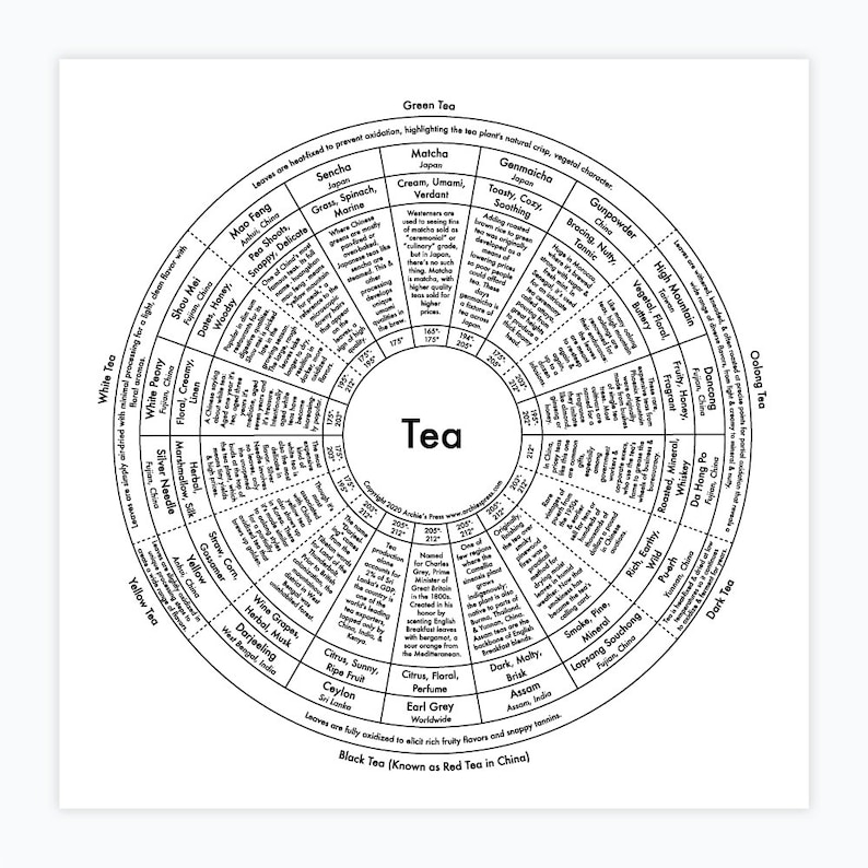 Tea Types Letterpress Chart 8"x8" - Etsy