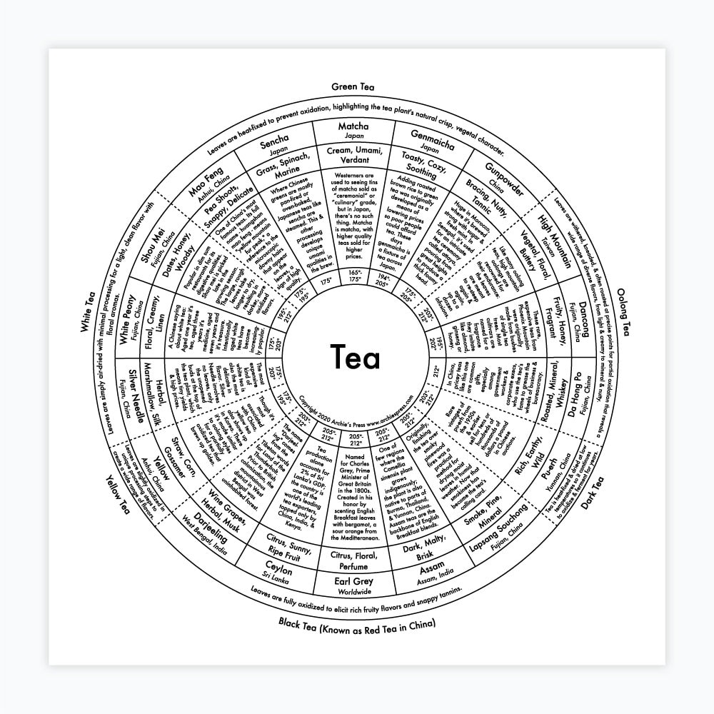 Tea Types Letterpress Chart 8"x8" - Etsy