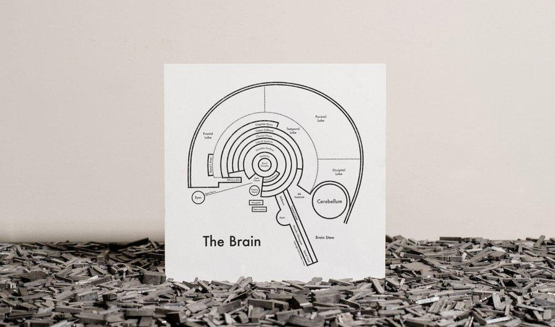 Brain Screenprint 17.5"x17.5" - Etsy