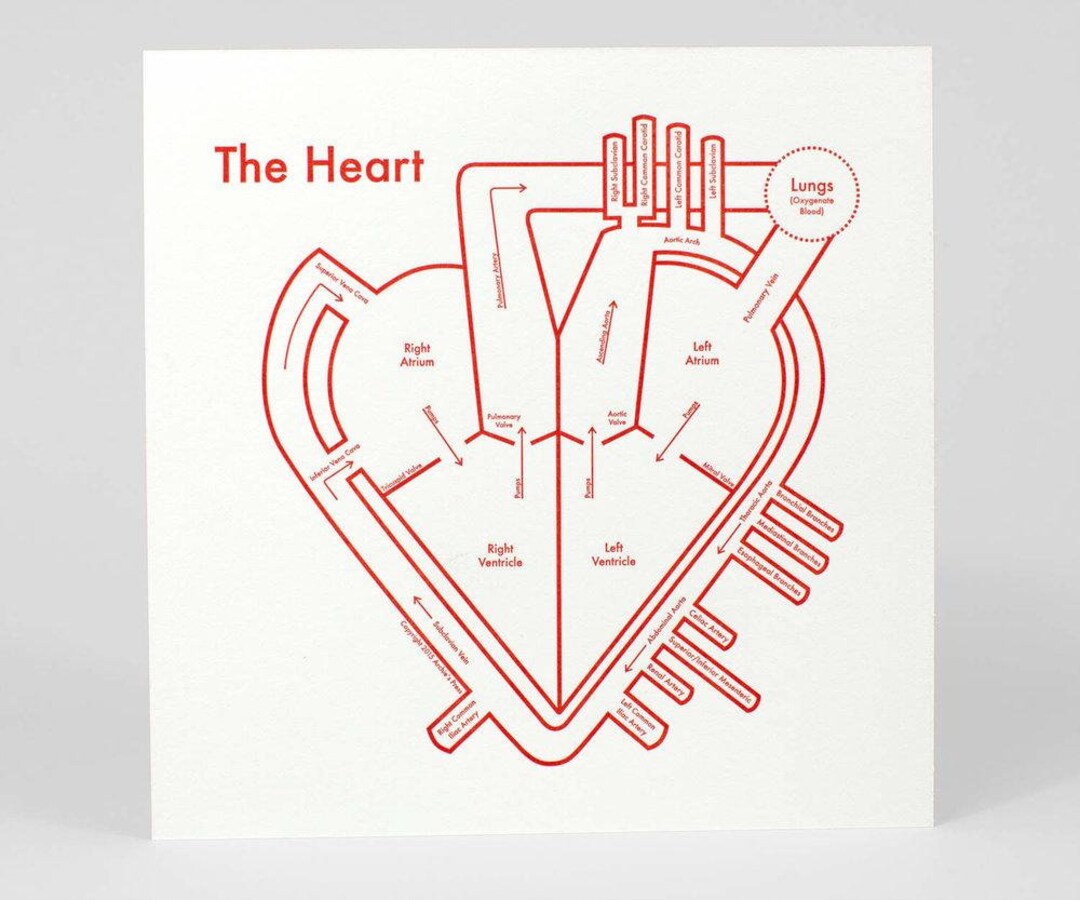 Heart Screenprint 17.5"x17.5" - Etsy