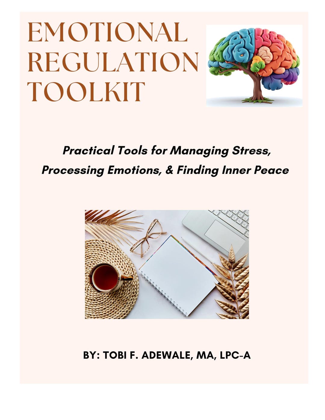 Emotional Regulation Toolkit: Practical Tools for Managing Stress ...