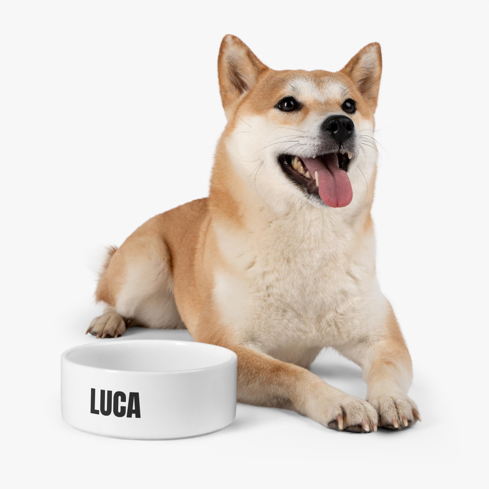 Custom Dog Bowl, Personalized Pet Bowl, Cute Heart Cat Bowl - Etsy