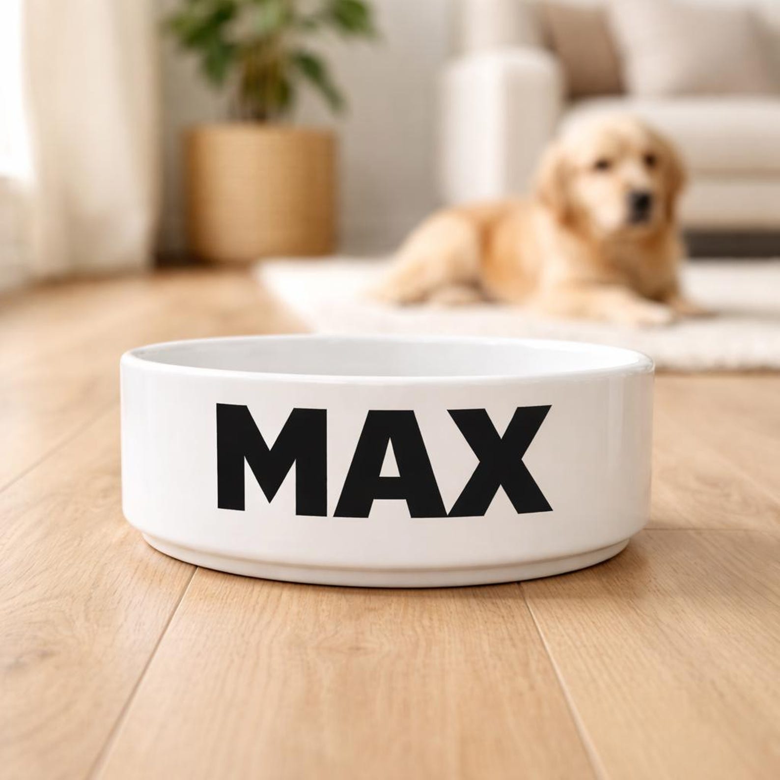 Custom Dog Bowl, Personalized Pet Bowl, Cute Heart Cat Bowl - Etsy