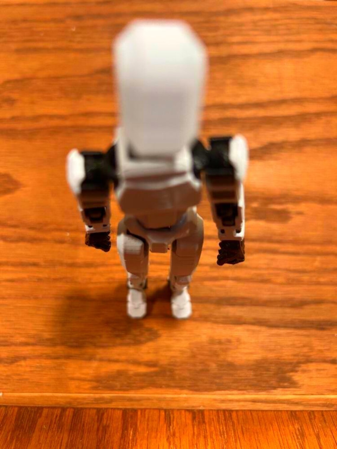 Crash Test Dummy Figure PETG Skeleton - Etsy