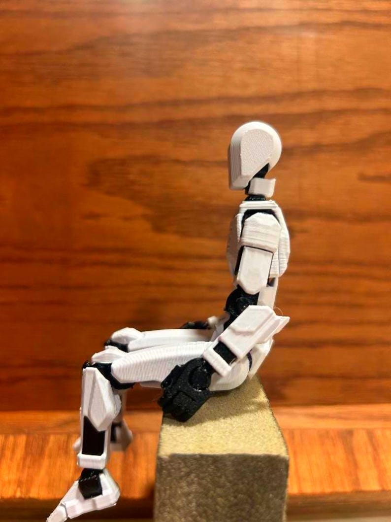Crash Test Dummy Figure PETG Skeleton - Etsy