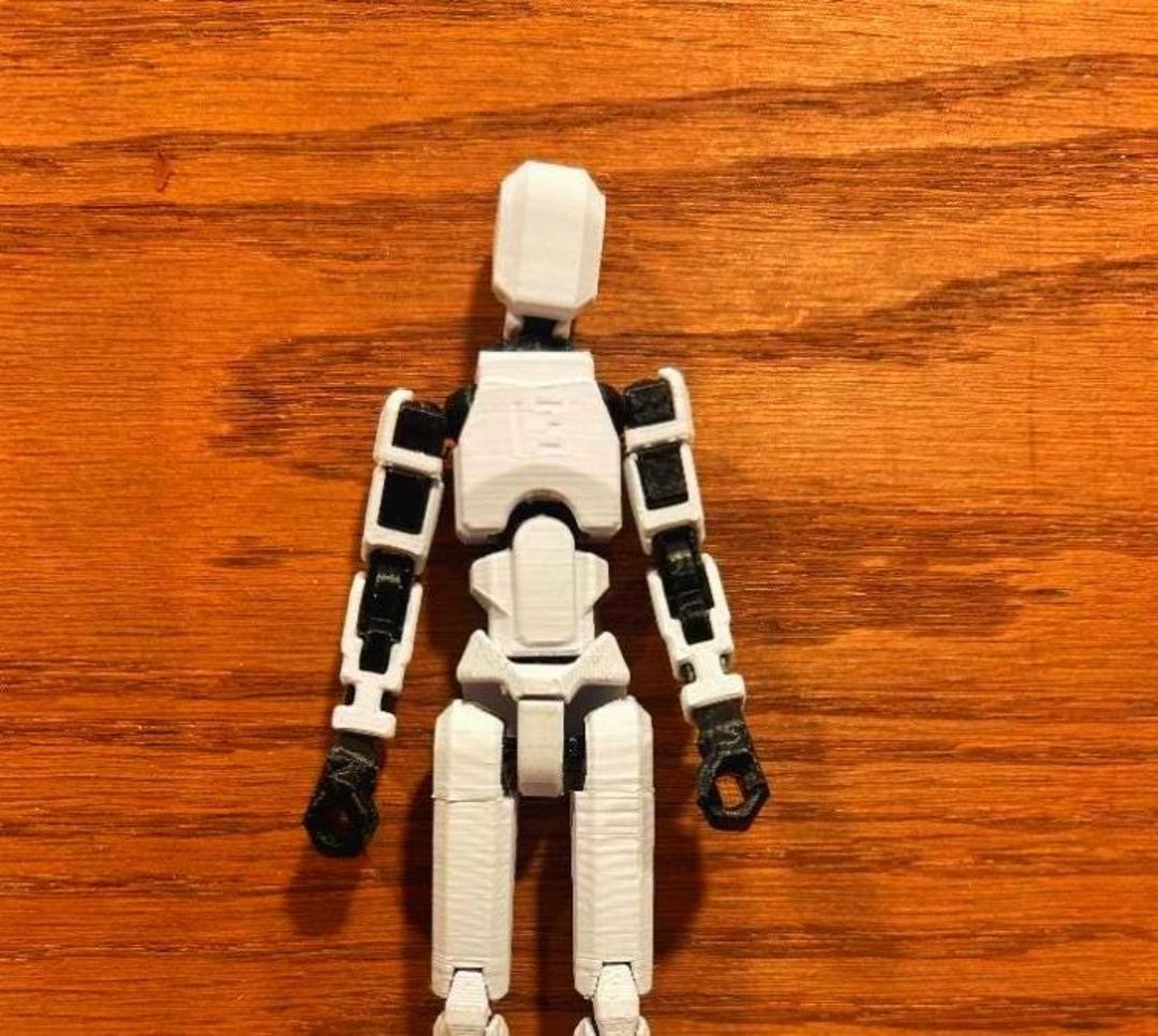 Crash Test Dummy Figure PETG Skeleton - Etsy