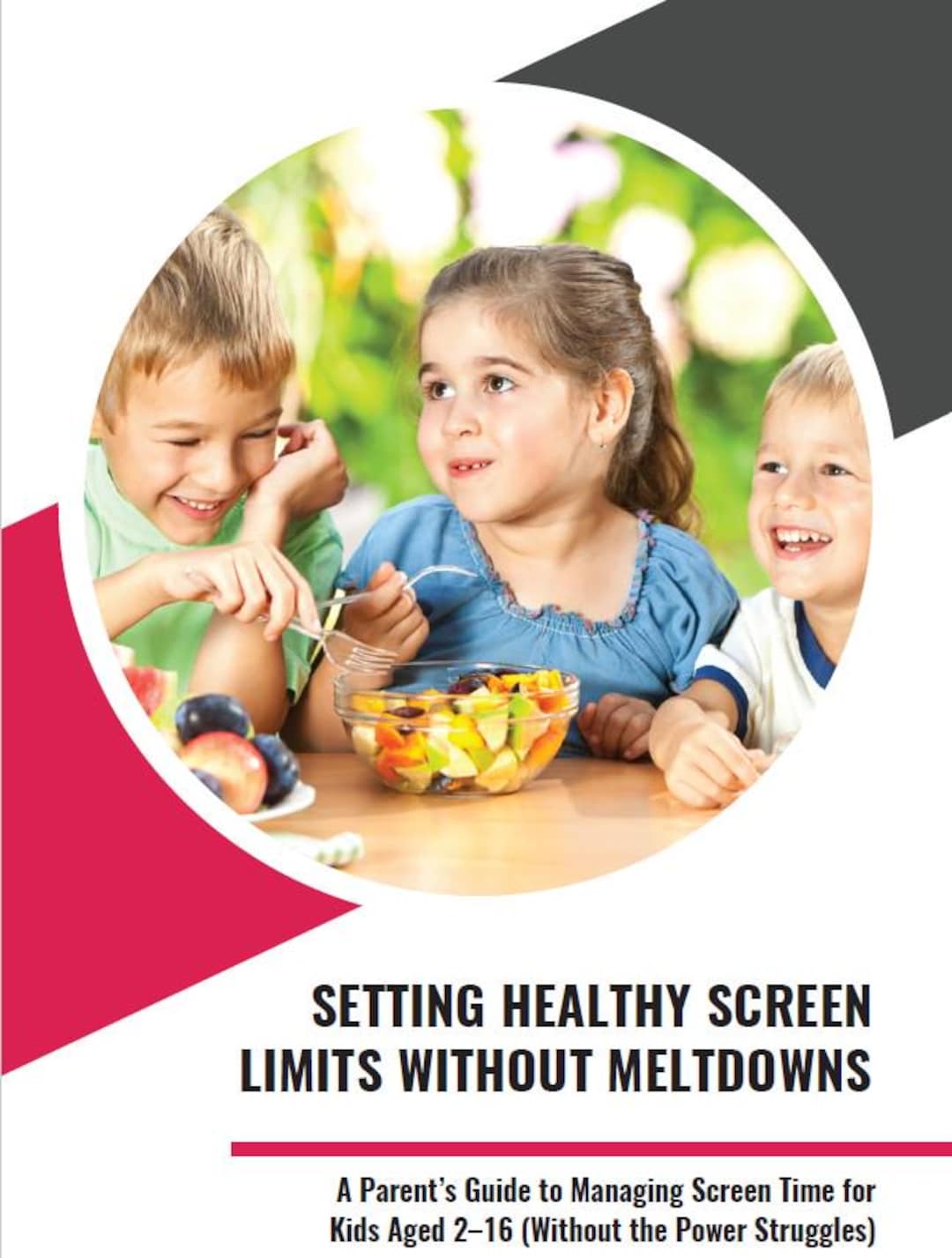 Digital Discipline: the Screen Time Survival Guide for Parents - E-book ...