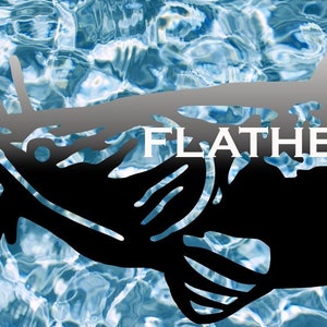 Flathead Catfish 1 - DXF and SVG Files - Etsy