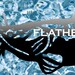 Flathead Catfish 1 - DXF and SVG Files - Etsy