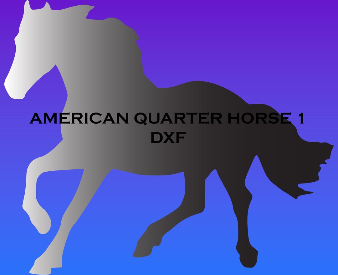 American Quarter Horse 1 - DXF and SVG Files - Etsy
