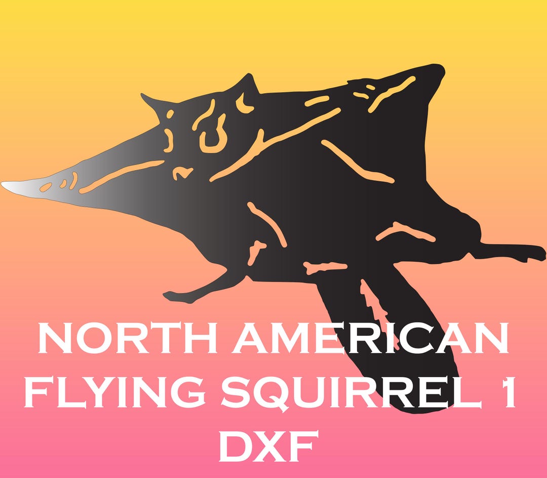North American Flying Squirrel 1 - DXF and SVG Files - Etsy