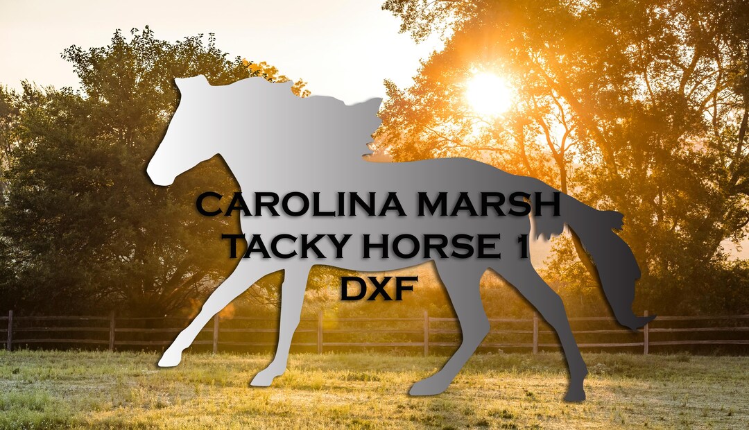 Carolina Marsh Tacky Horse 1 - DXF and SVG Files - Etsy