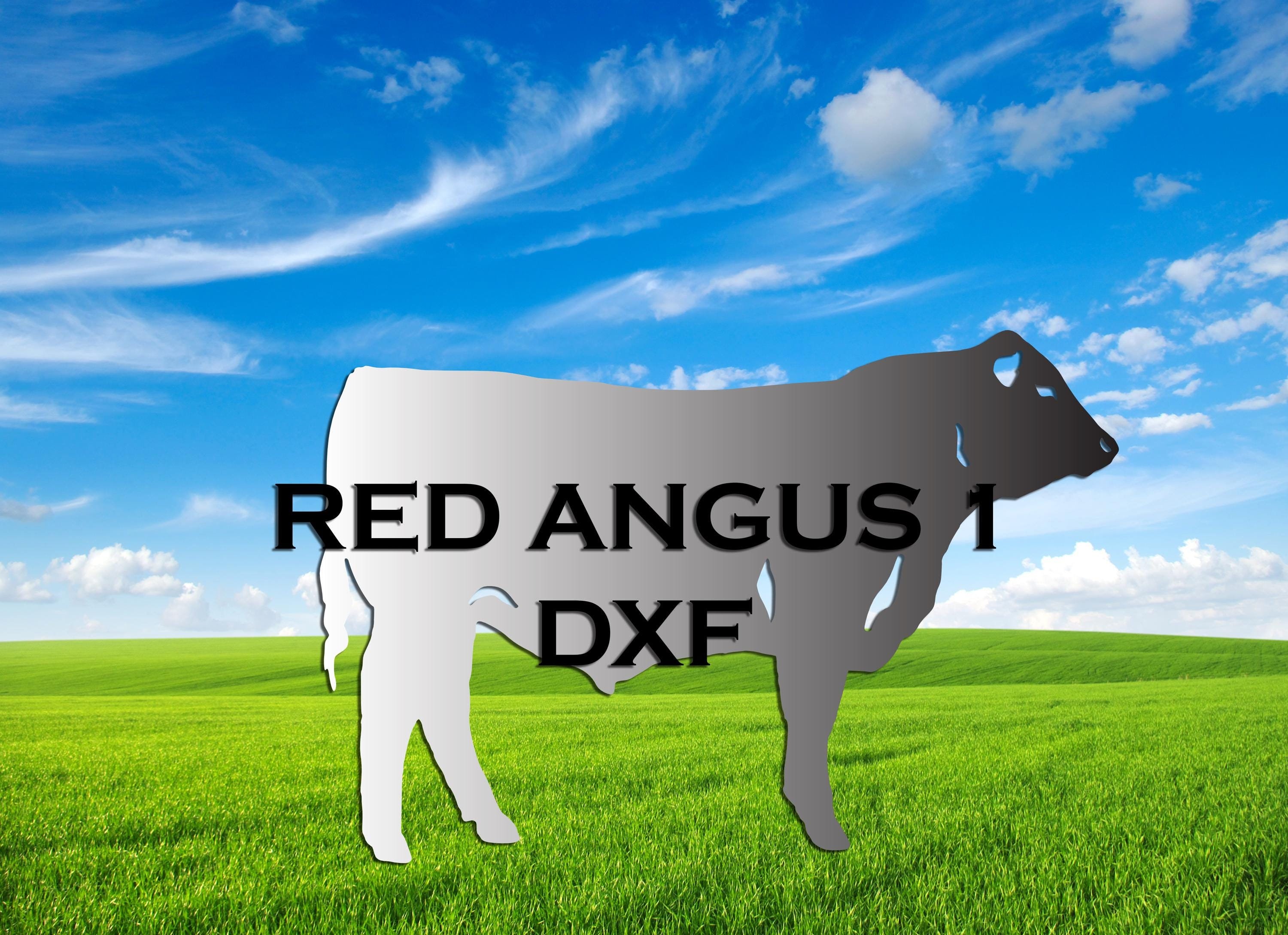 Red Angus Cattle 1 - DXF and SVG Files - Etsy