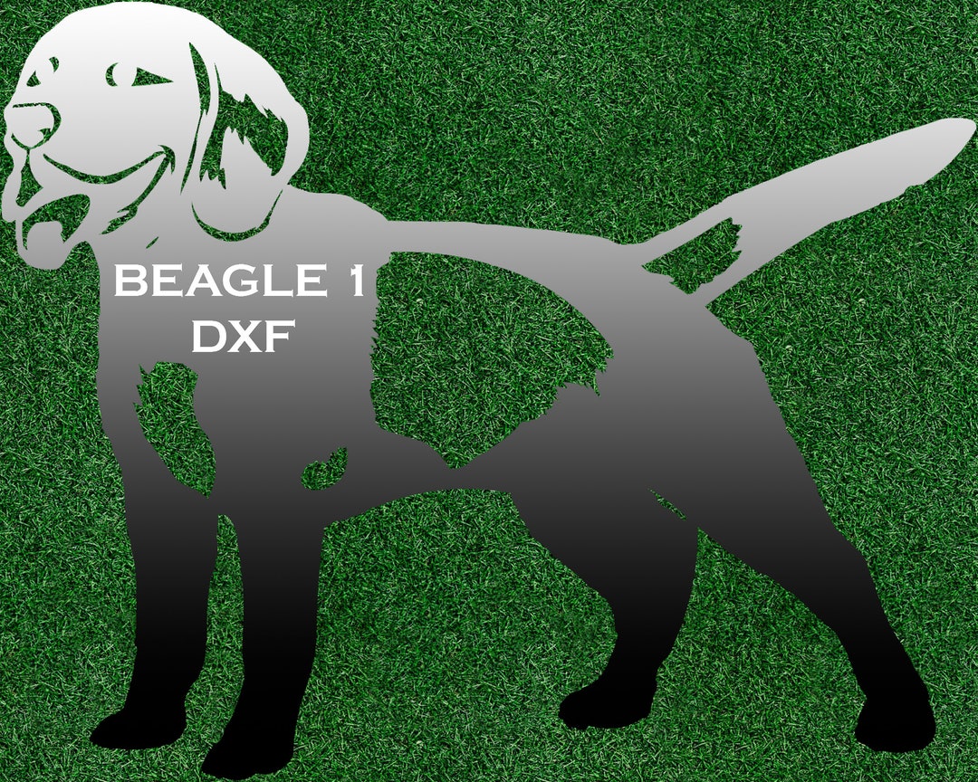 Beagle 1 - DXF and SVG Files - Etsy