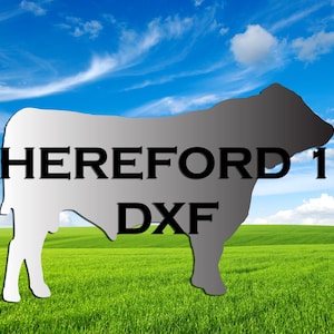 Hereford Cattle 1 - DXF and SVG Files - Etsy