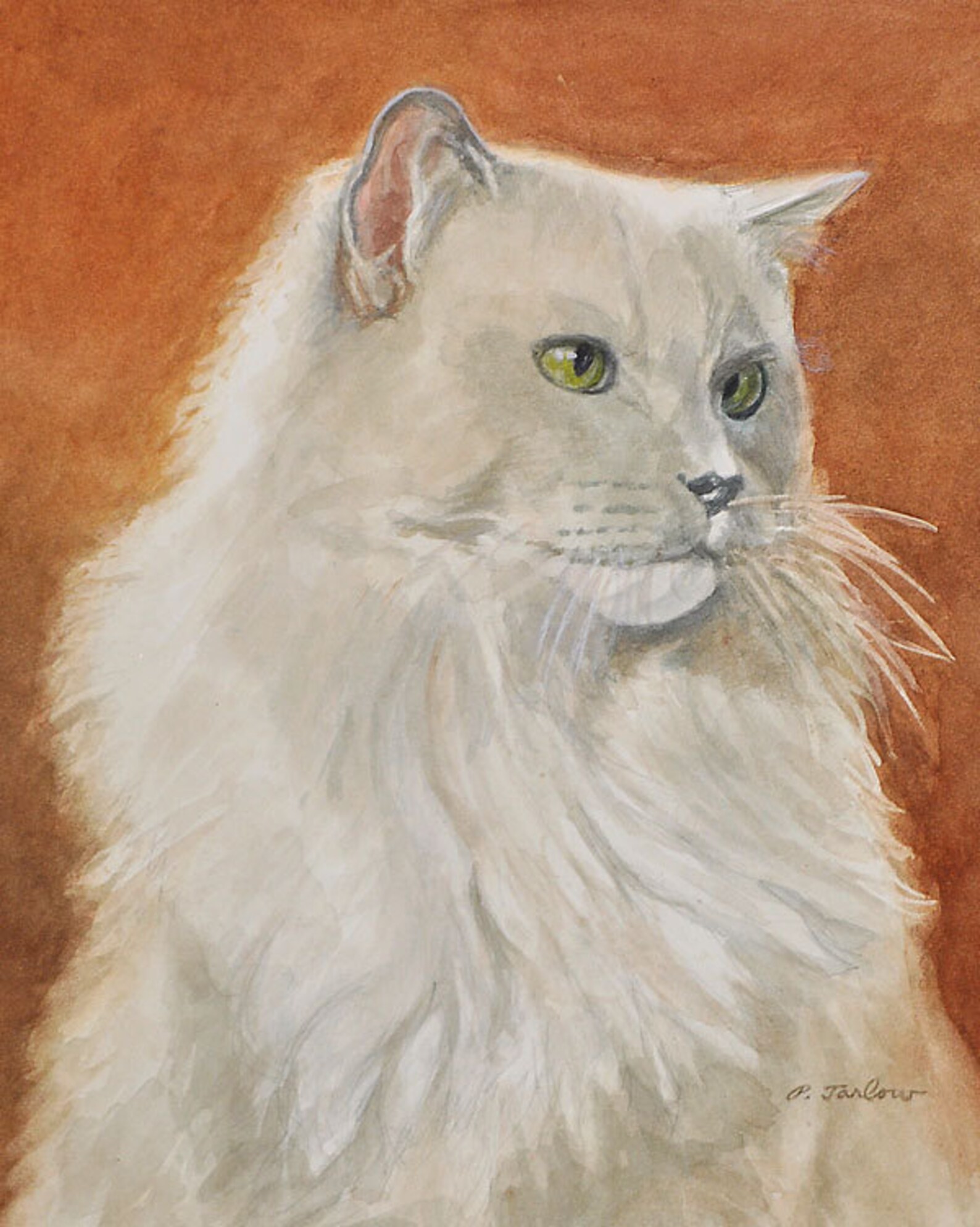 Ragdoll Cat Art, Ragdoll Cat Watercolor Print, Cat Portrait, White Long ...