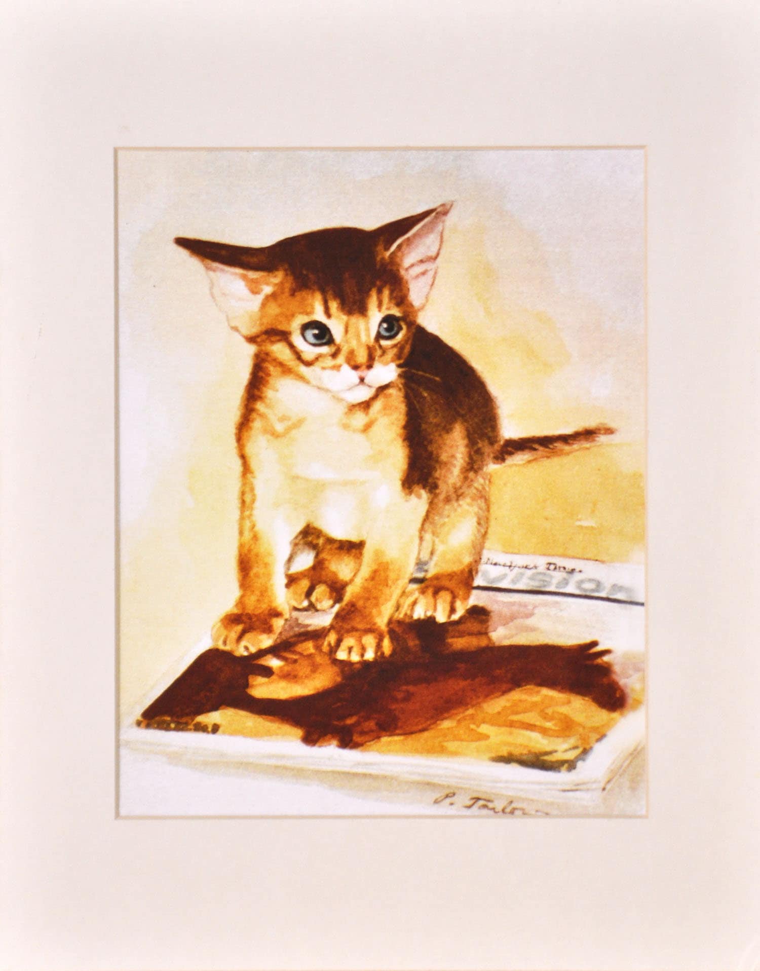 Cute Kitten, Abyssinian Cat Art Print, Abyssinian Kitten Art, Aby Cat ...