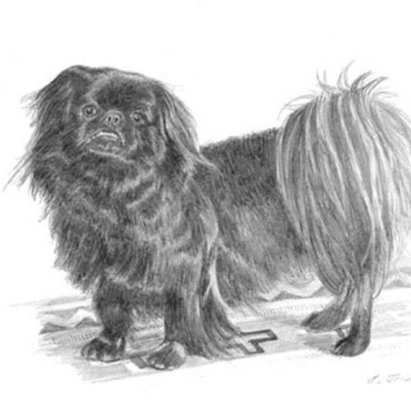 Pekingese Dog Art - Etsy