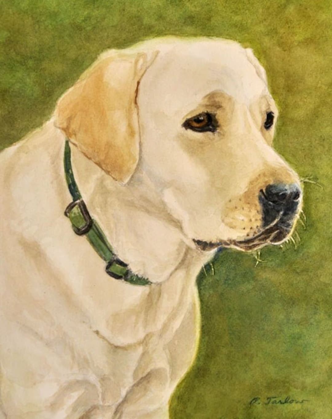 Yellow Labrador Retriever Print, Labrador Portrait, Labrador Art ...