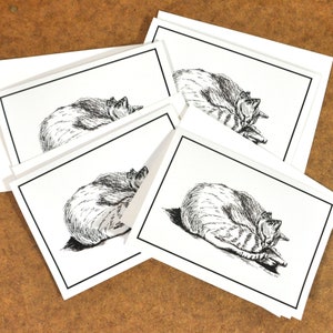 Tabby Cat Pen and Ink Notecards, Cat Greeting Cards Set of 4 5"x7 ...