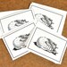 Tabby Cat Pen and Ink Notecards, Cat Greeting Cards Set of 4 5x7 Blank ...