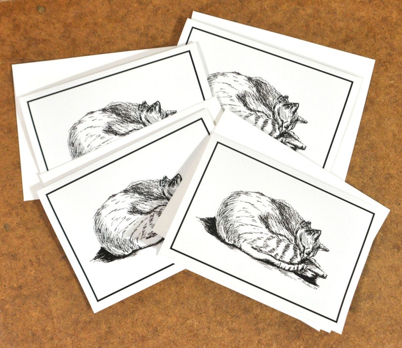 Tabby Cat Pen and Ink Notecards Cat Greeting Cards Set of 4 | Etsy