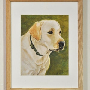 Yellow Labrador Retriever Print, Labrador Portrait, Labrador Art ...
