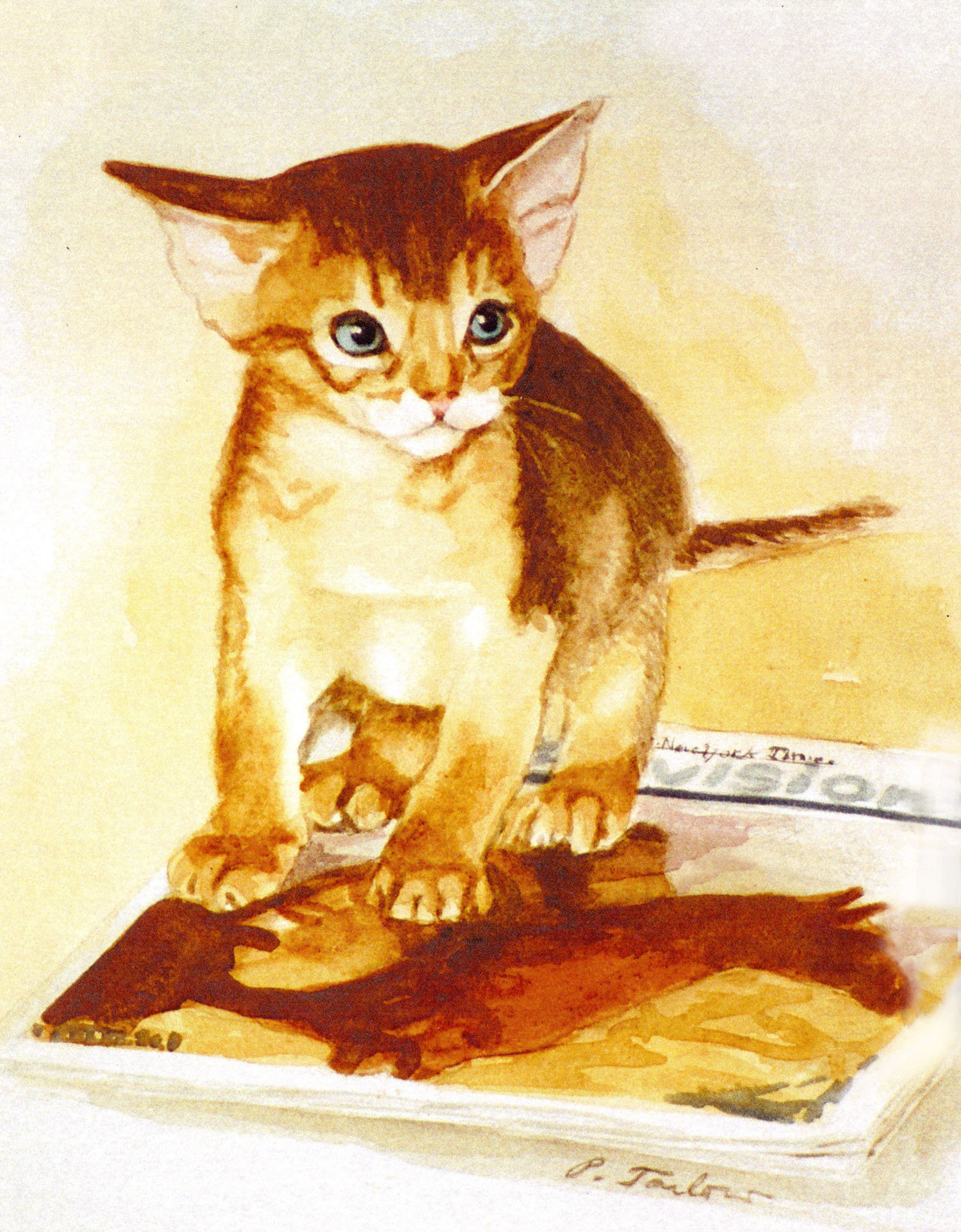 Cute Kitten, Abyssinian Cat Art Print, Abyssinian Kitten Art, Aby Cat ...