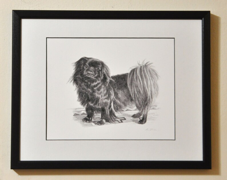 Pekingese Dog Art Black Peke Print Pekingese Pencil Drawing - Etsy