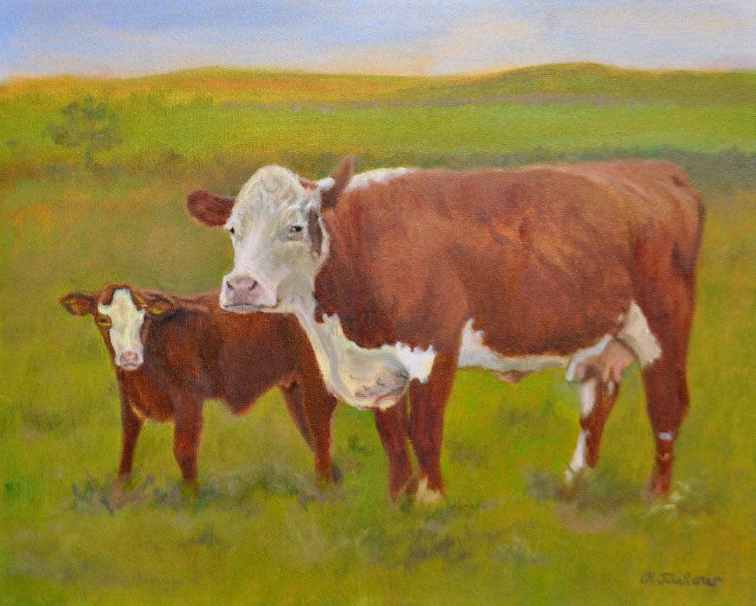 Hereford Cow and Calf Art Print, Mother Cow and Calf in Farmyard, Farm ...