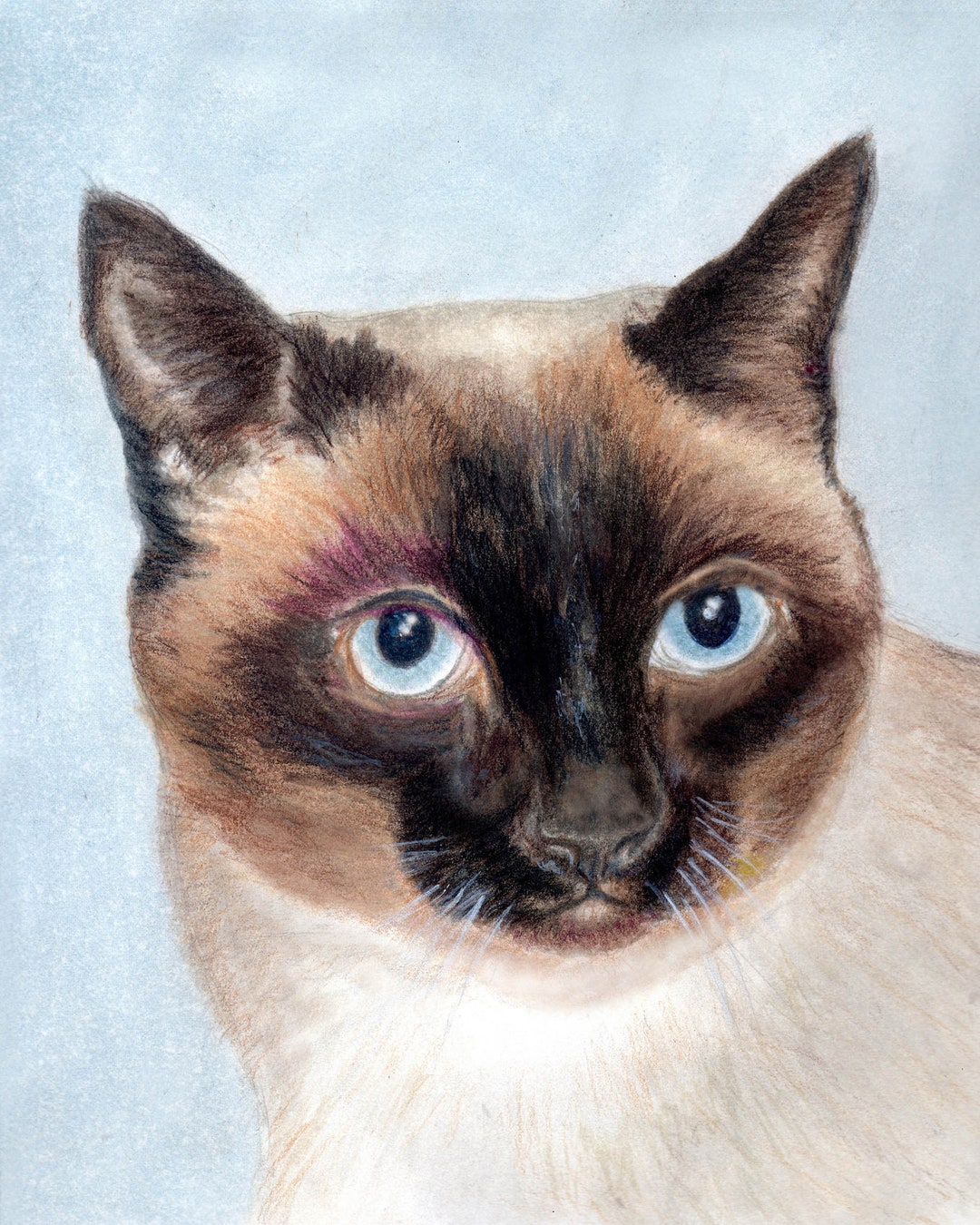 Siamese Cat Art, Siamese Cat Watercolor Print, Sealpoint Siamese Cat ...
