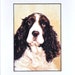 English Springer Spaniel Portrait Art, Springer Spaniel Watercolor ...