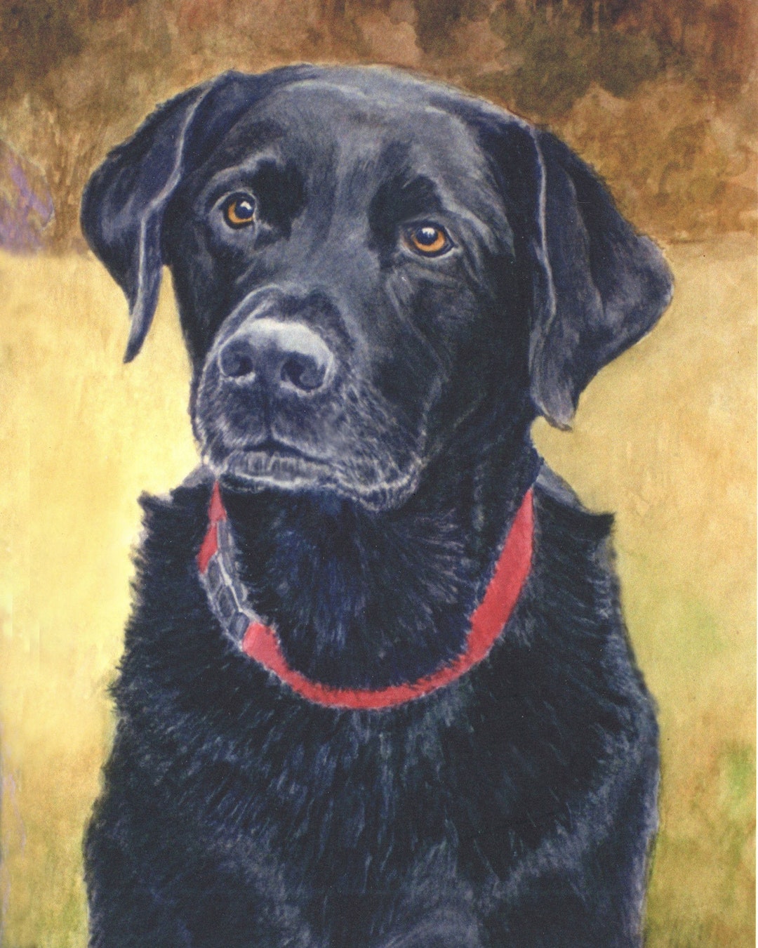 Black Labrador Retriever Art Print, Labrador Retriever Watercolor ...