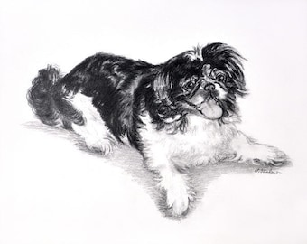 Pekingese Dog Art Black Peke Print Pekingese Pencil Drawing | Etsy