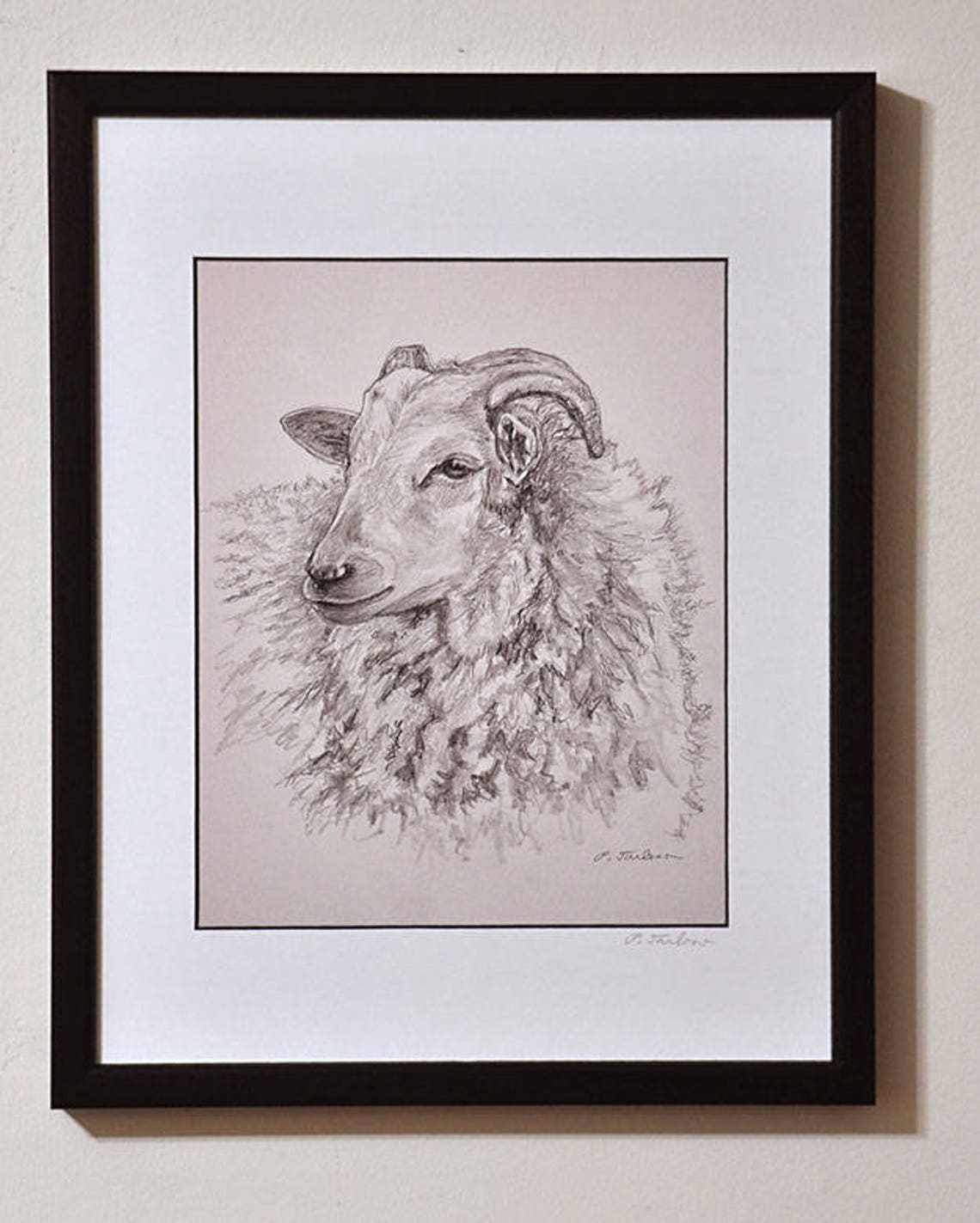 Sheep Pencil Drawing Art Print Sheep Portrait Farm Animal | Etsy