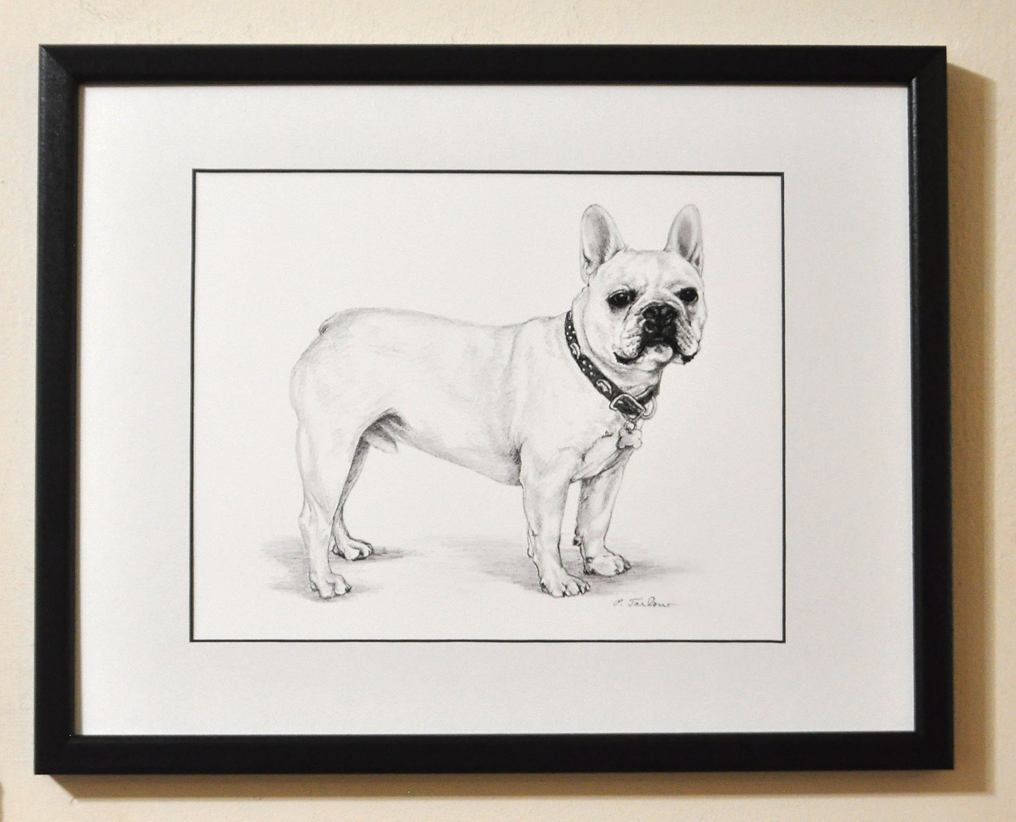French Bulldog Art Print, French Bulldog Standing Pencil Drawing ...