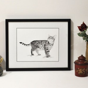 Cat Drawing Print, Tabby Cat Art, Tabby Cat Drawing, Cat Art Print ...