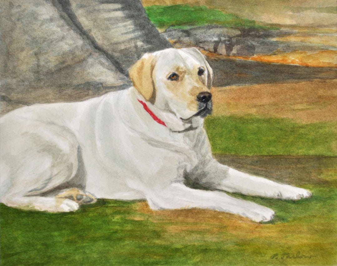 Yellow Lab in Nature Art Print, Yellow Labrador Retriever Resting on ...