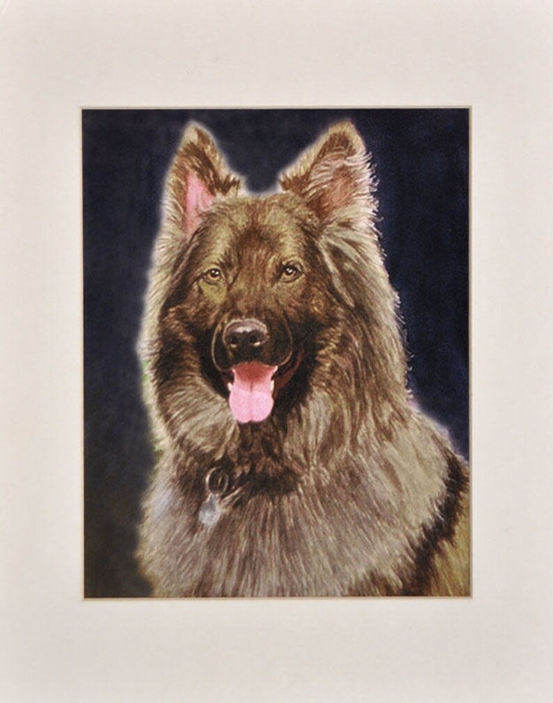 Long Haired German Shepherd Art Print German Shepherd Print - Etsy