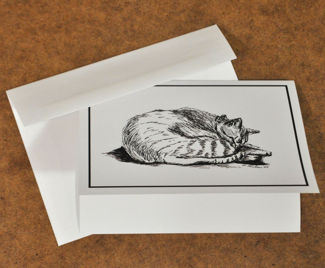 Tabby Cat Pen and Ink Notecards Cat Greeting Cards Set of 4 | Etsy