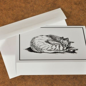 Tabby Cat Pen and Ink Notecards, Cat Greeting Cards Set of 4 5"x7 ...