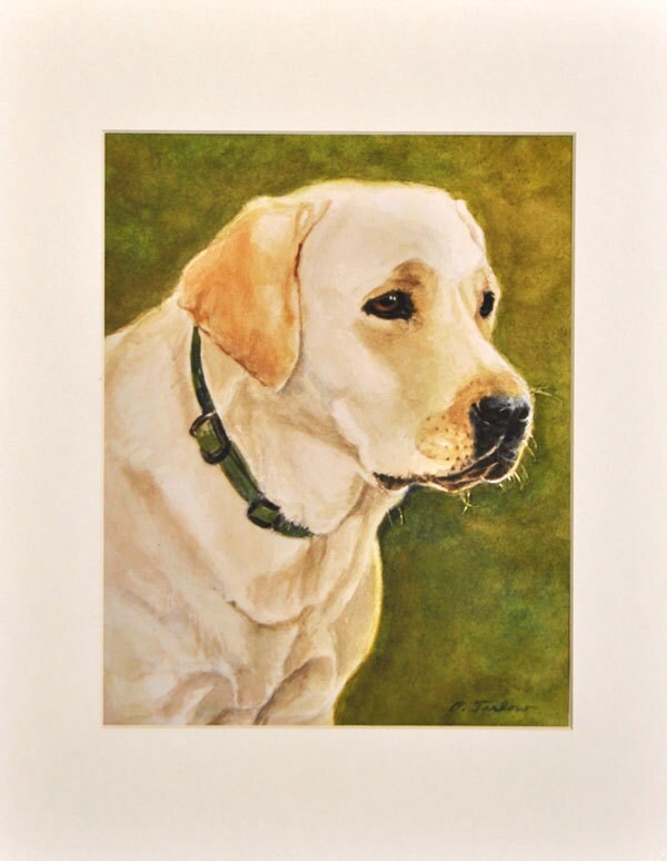 Yellow Labrador Retriever Print Labrador Portrait Labrador | Etsy